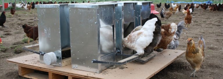 ratproof | bird proof | rodent proof | squirrel proof chicken feeder